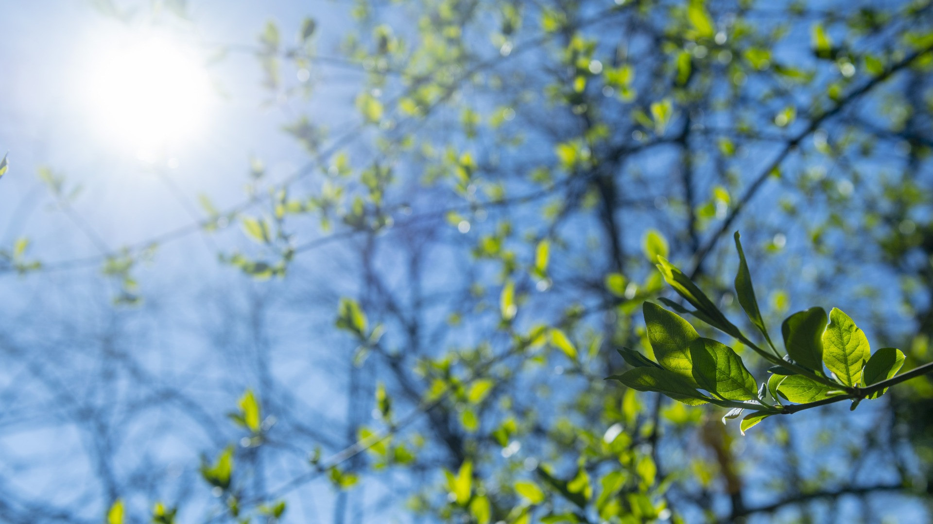 Più di 20 gradi nella Svizzera nord-occidentale: è record