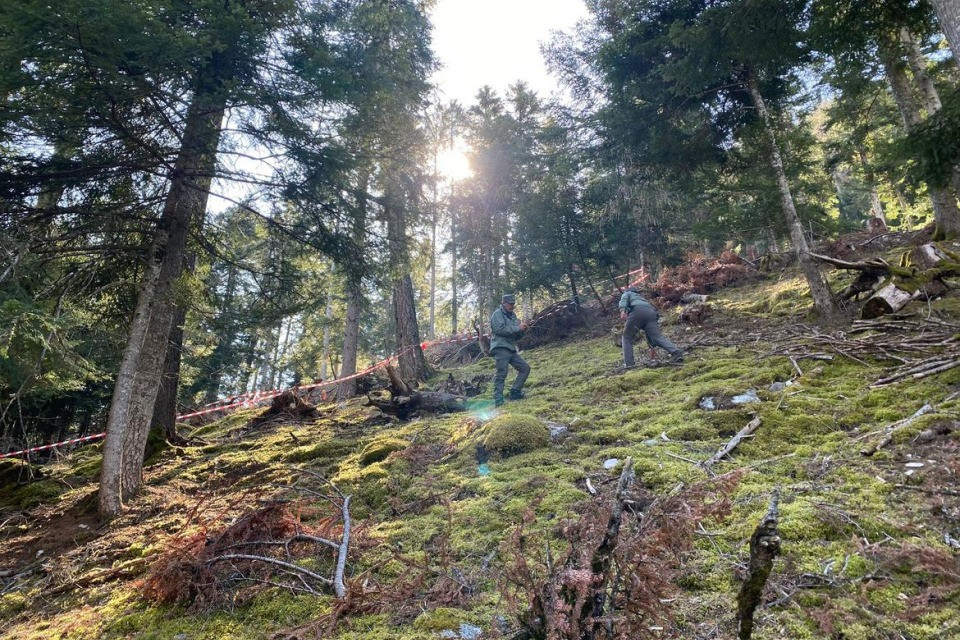 Caso JJ4, per l'orso non basta la zona protetta