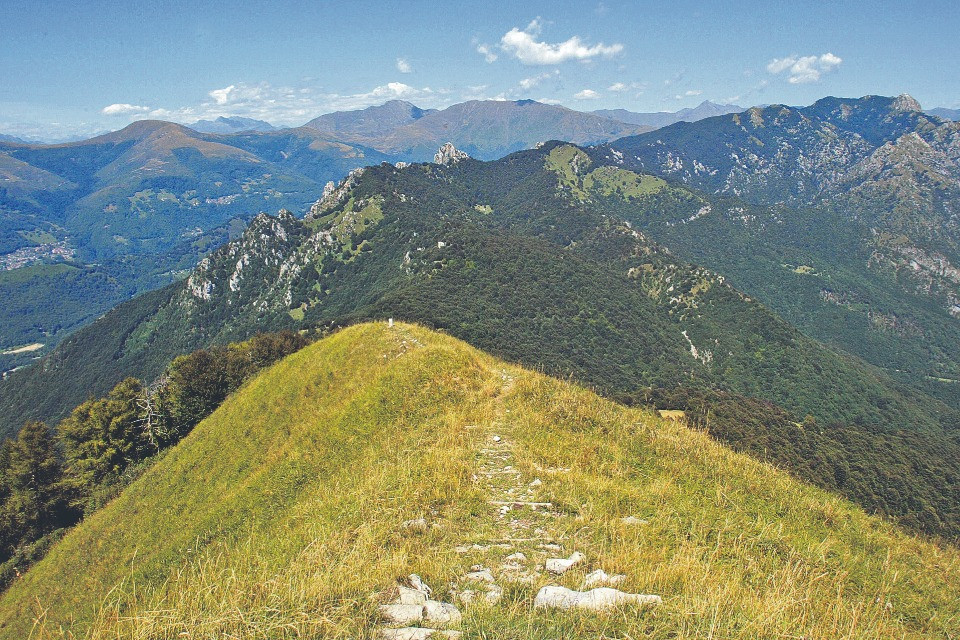 Parco regionale del Camoghè, avanti con uno studio