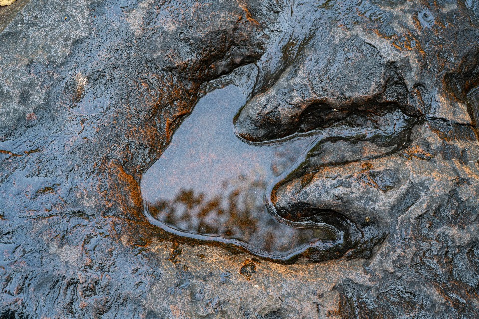 Se il Parco dello Stelvio era una valle dei dinosauri: «Scoperte migliaia di antiche orme»