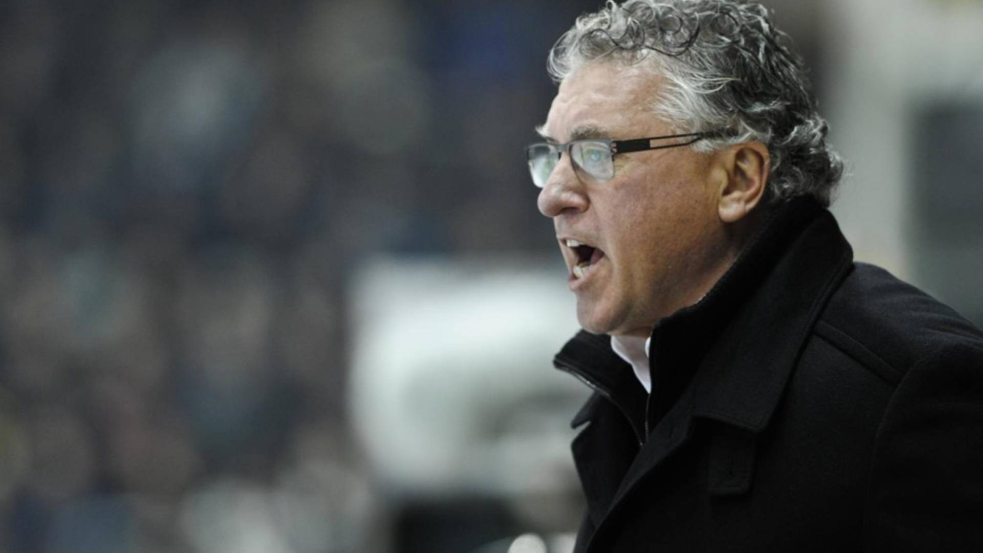 Rinnovato il contratto di Doug Shedden