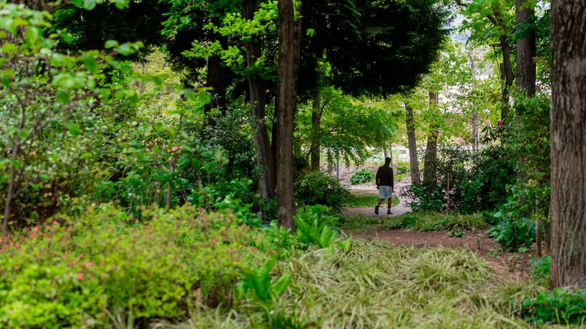 Premiato il pollice verde di Lugano