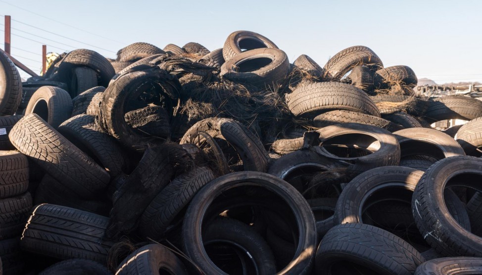 Ecco le prove del dolo