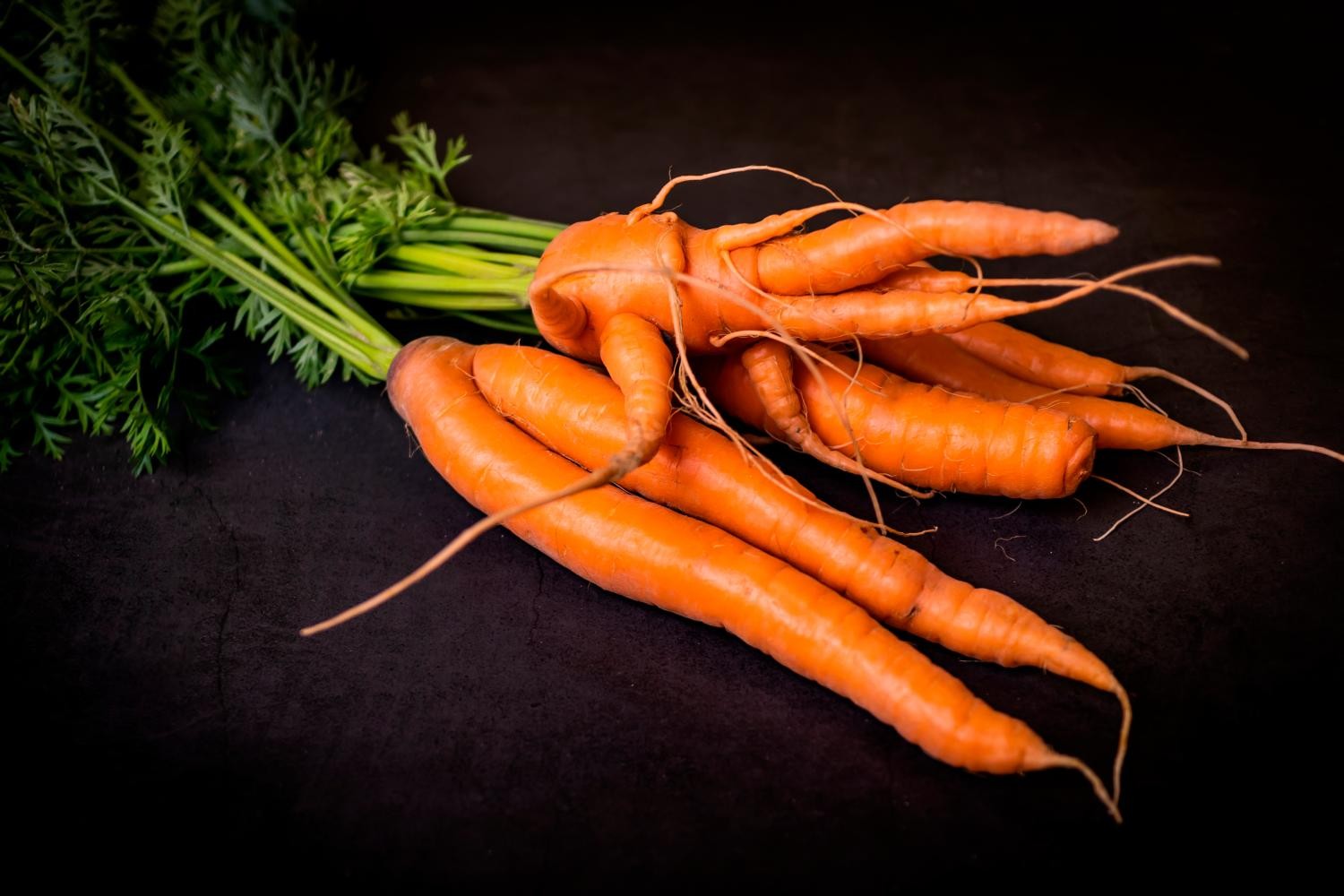 La seconda occasione della carota a due teste