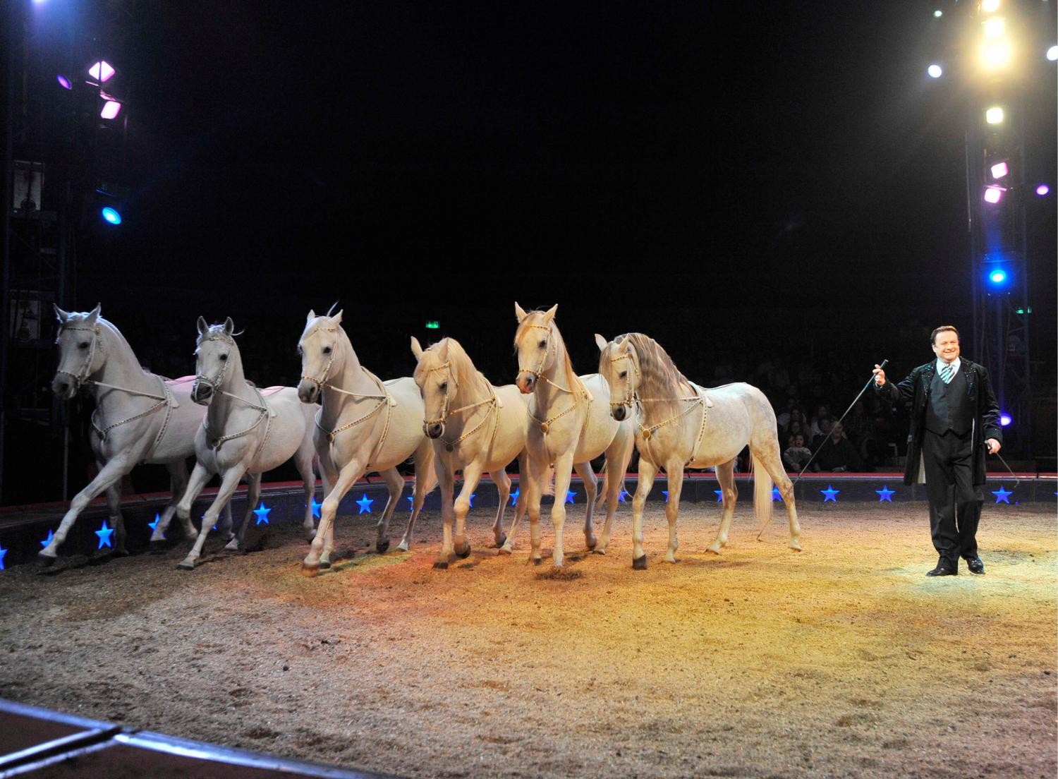 «Noi Knie? Siamo una famiglia normalissima»